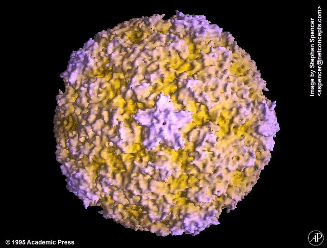 LON-CAPA Computed Virus Visualizations