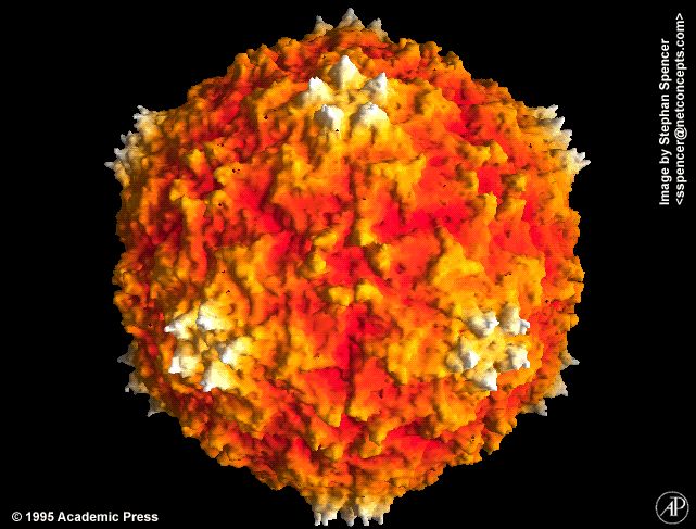 LON-CAPA Computed Virus Visualizations