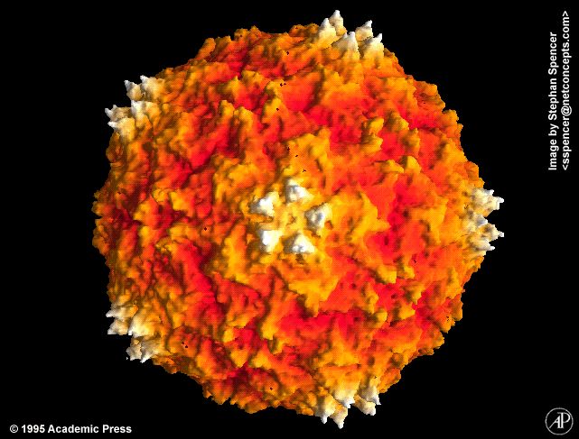 LON-CAPA Computed Virus Visualizations