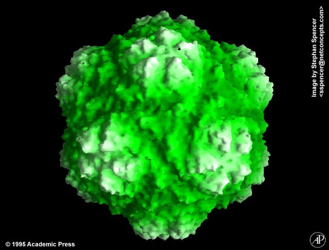 LON-CAPA Computed Virus Visualizations