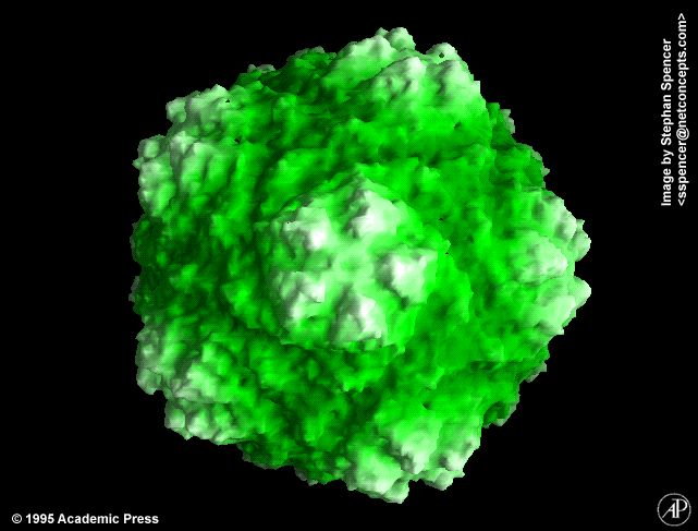 LON-CAPA Computed Virus Visualizations