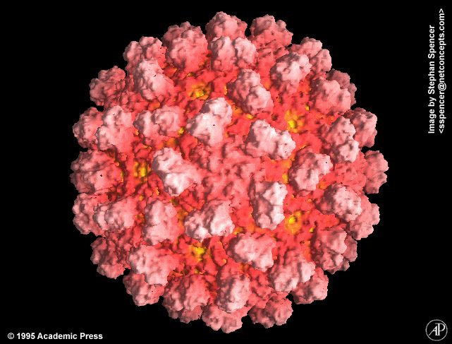 LON-CAPA Computed Virus Visualizations