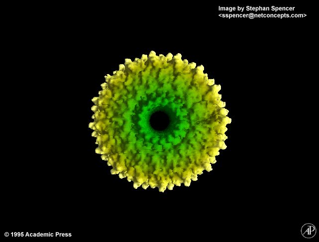 LON-CAPA Computed Virus Visualizations