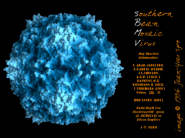 LON-CAPA Computed Virus Visualizations