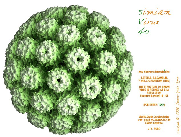 LON-CAPA Computed Virus Visualizations