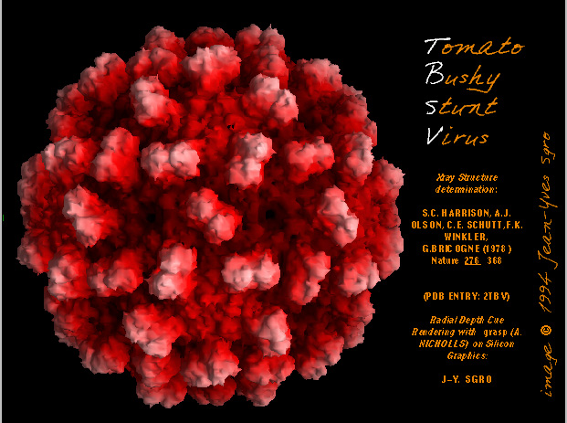 LON-CAPA Computed Virus Visualizations